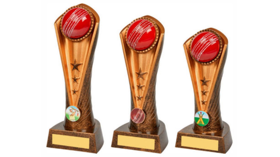 Cricket Trophy Award - Personalized Engraving - Custom Insert - Etsy