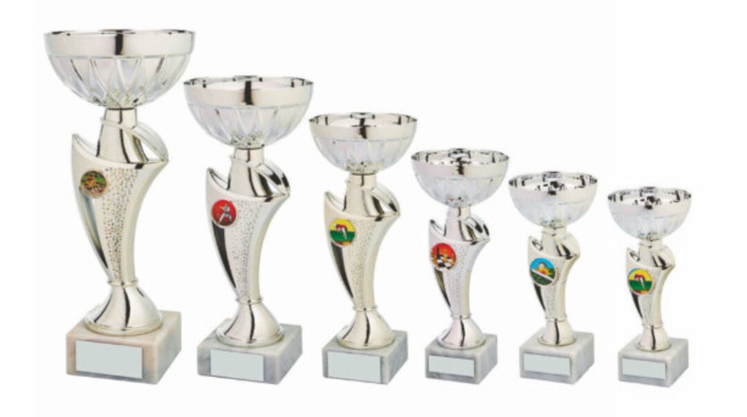 Silver Bowl Award - Personalized Engraving - Custom Insert - Etsy