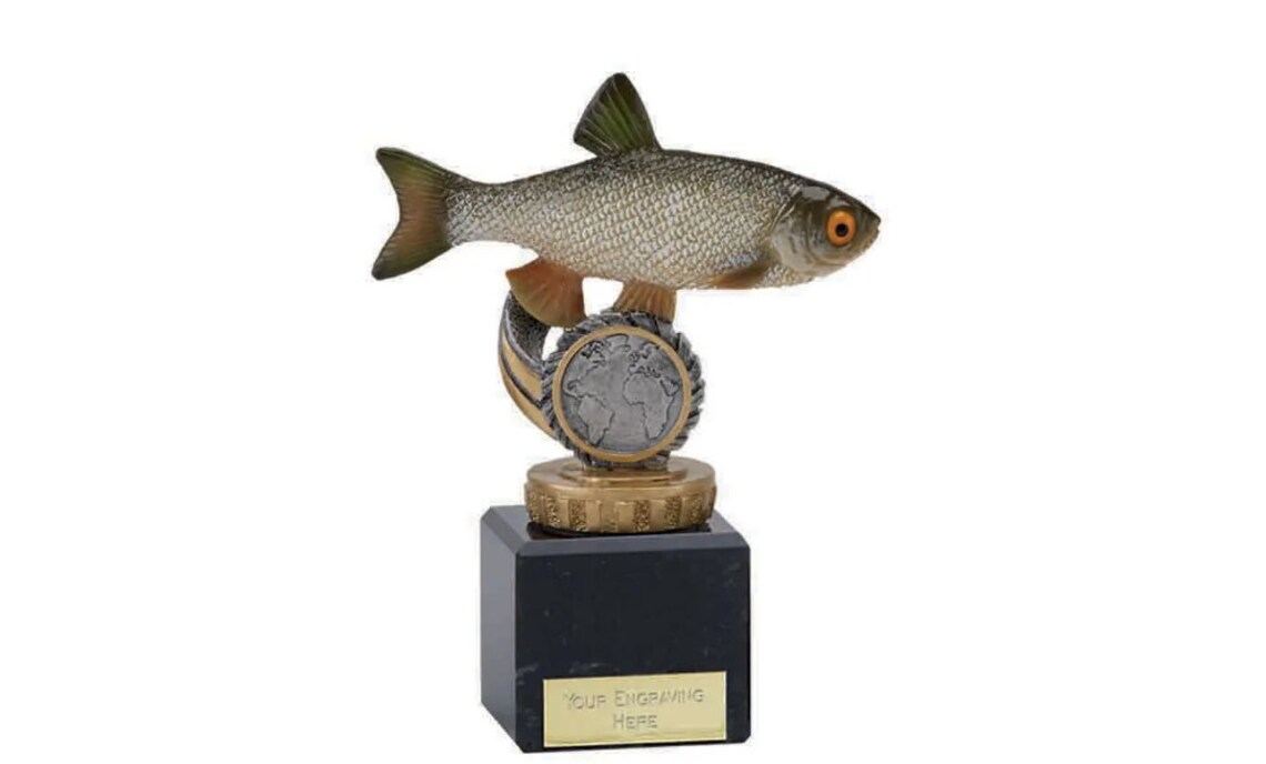 Fishing Award Trophy Chubb Fish Personalised Engraving - Etsy