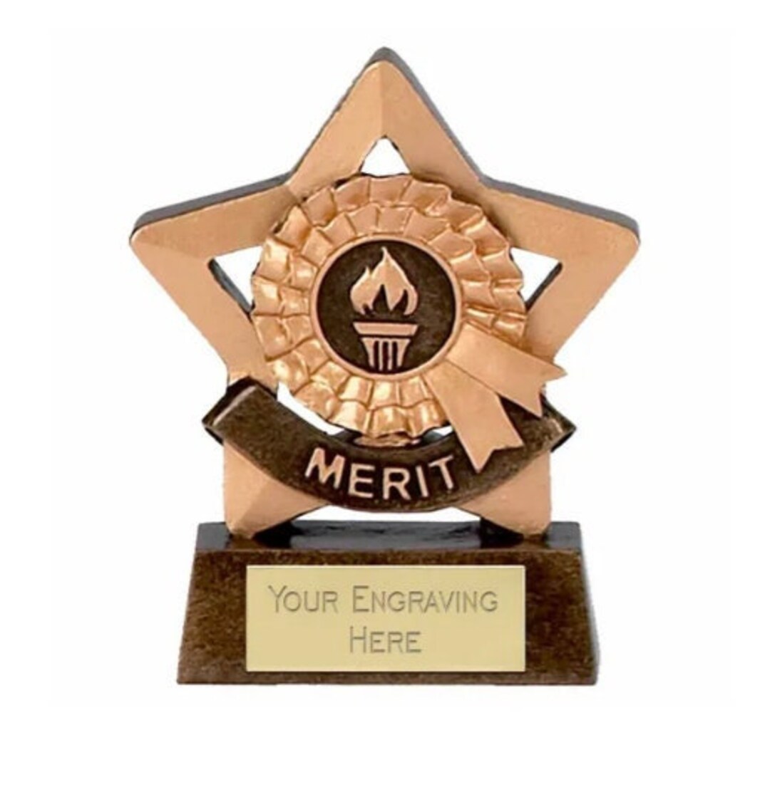 Merit Award Trophy - Personalized Engraving - Etsy