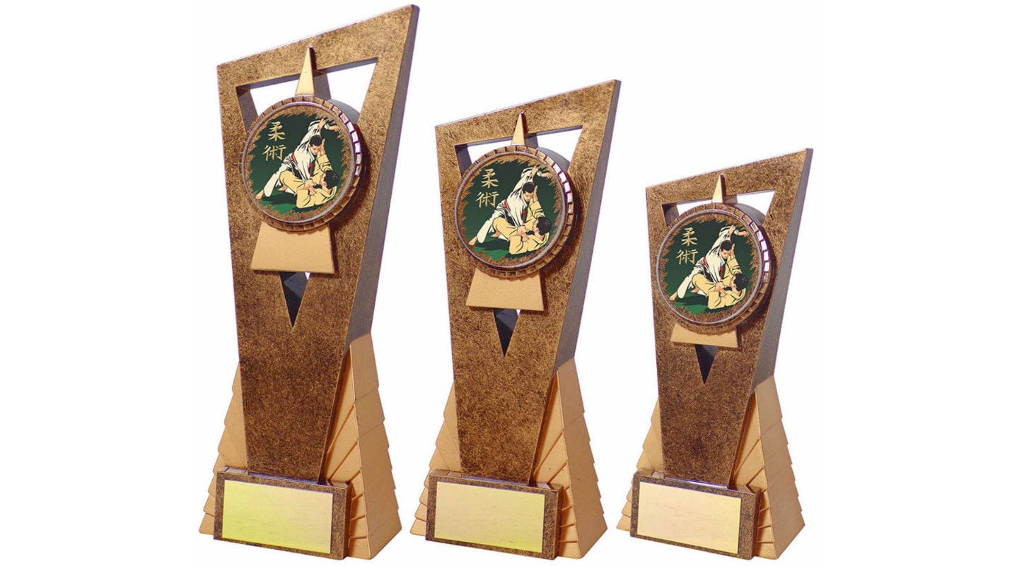 Jiu-jitsu Award Trophy - Personalized Engraving - Etsy