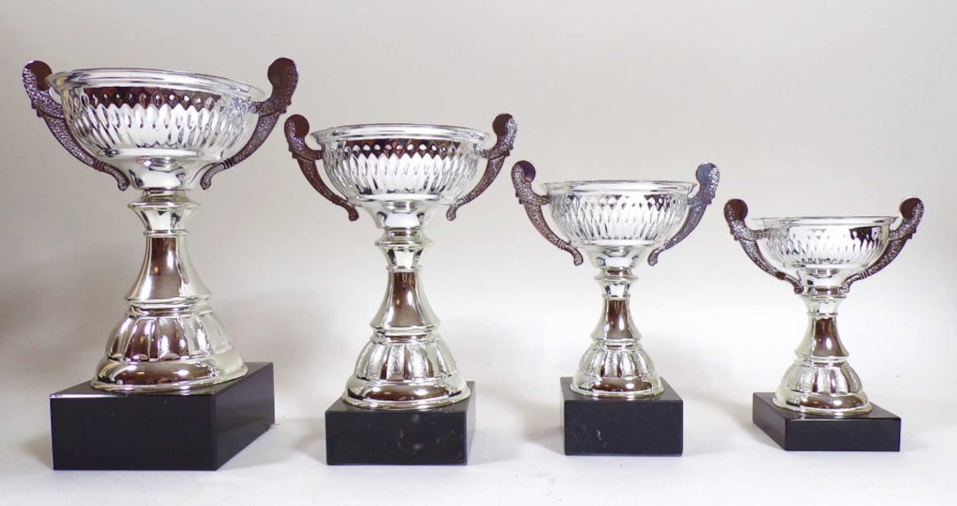 Silver Presentation Metal Trophy Cup With Handles - Personalized ...