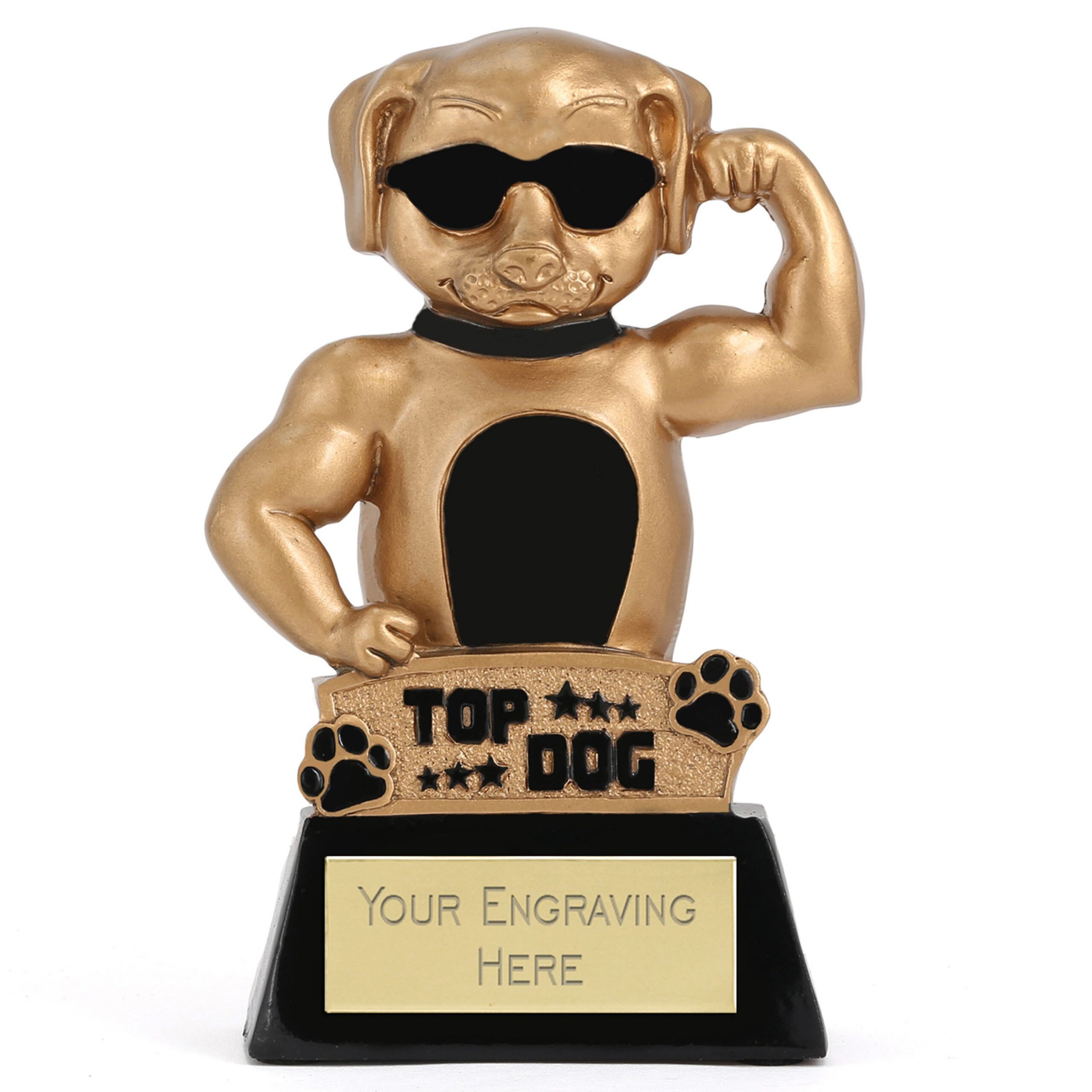 Dog Award Trophy Personalized Engraving - Etsy