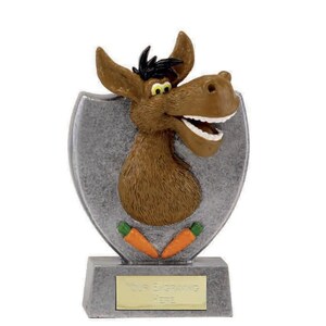 Donkey Trophy Award - Personalized Engraving - Etsy