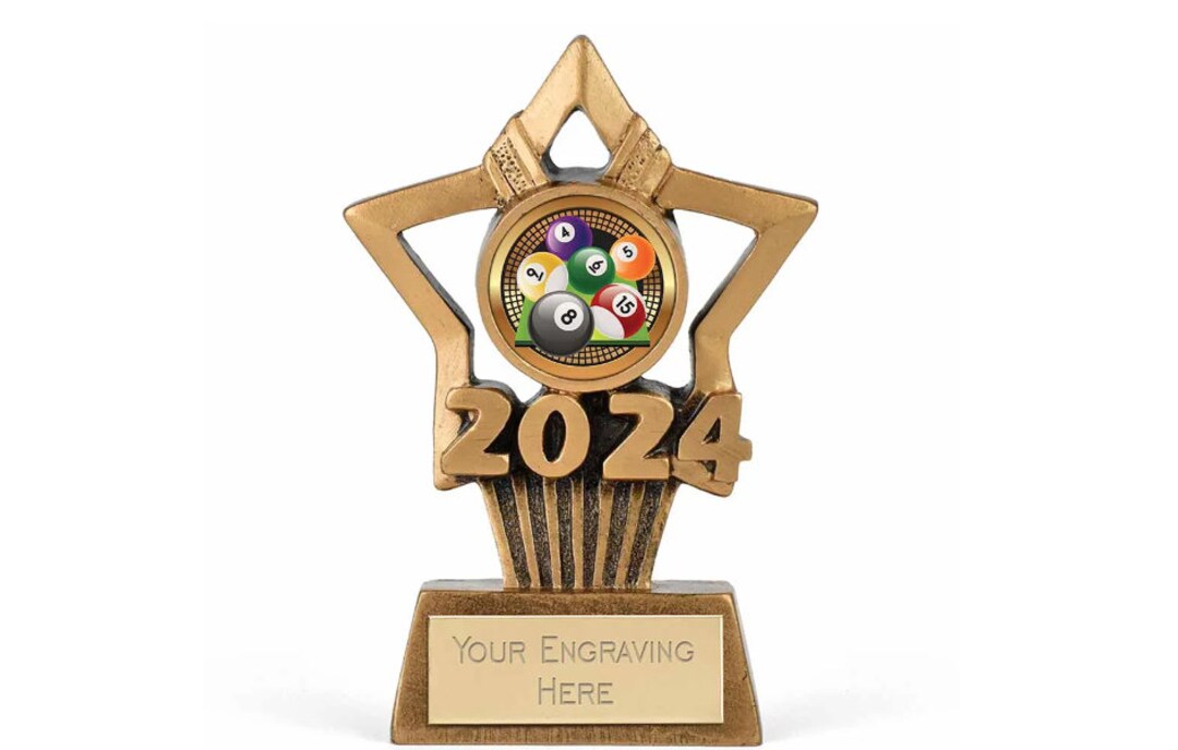 Pool Balls 2024 Award Personalized Engraving - Etsy