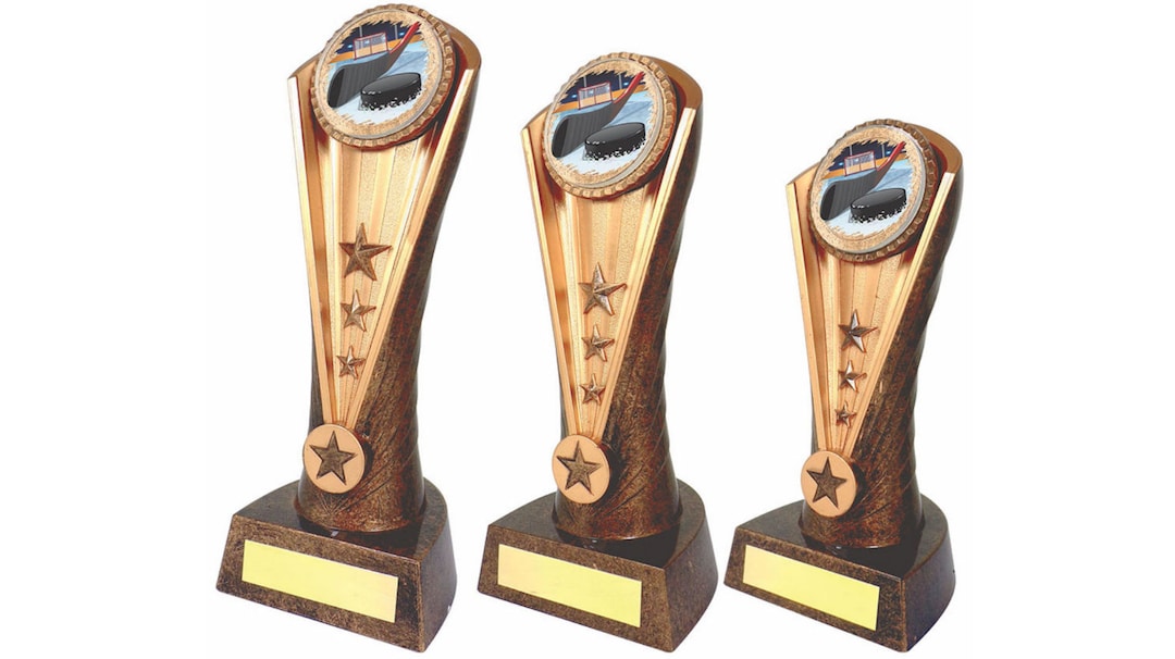 Ice Hockey Award Trophy - Personalized Engraving - Custom Inserts - Etsy