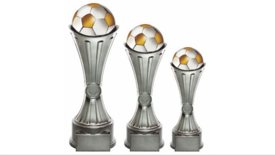 Football Ball Award Trophy - Personalized Engraving - Custom Insert - Etsy