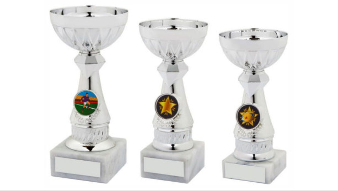 Silver Metal Trophy Cup - Personalized Engraving - Custom Insert - Etsy