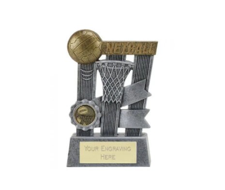 Netball Award Trophy Personalized Engraving Custom Insert - Etsy