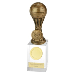 Netball Award Trophy - Personalized Engraving - Custom Insert - Etsy