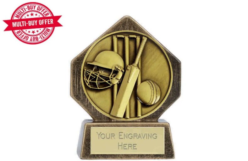 Cricket Trophy Award - Trophy- Award Trophy- Personalised Engraving - Etsy