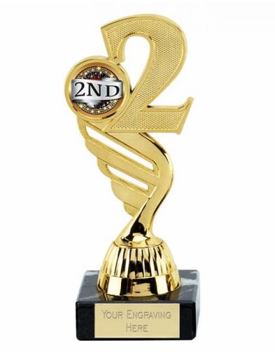 Trophy Places Awards 1st 2nd 3th Gold Trophies - Etsy UK