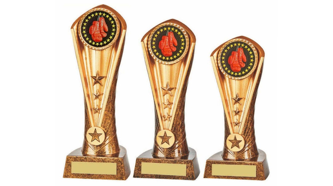 Boxing Award Trophy - Personalized Engraving - Custom Inserts - Etsy