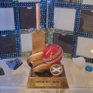 Cricket Bat Trophy Award - Personalized Engraving - Custom Insert - Etsy