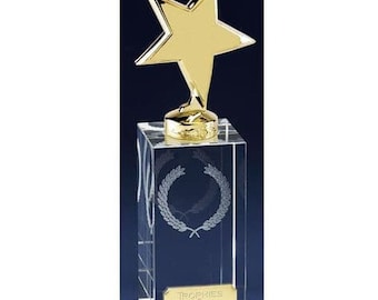 Glass Star Trophy - Etsy
