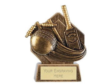 Cricket Male Bowler Award Trophy Personalized Engraving Custom Inserts ...