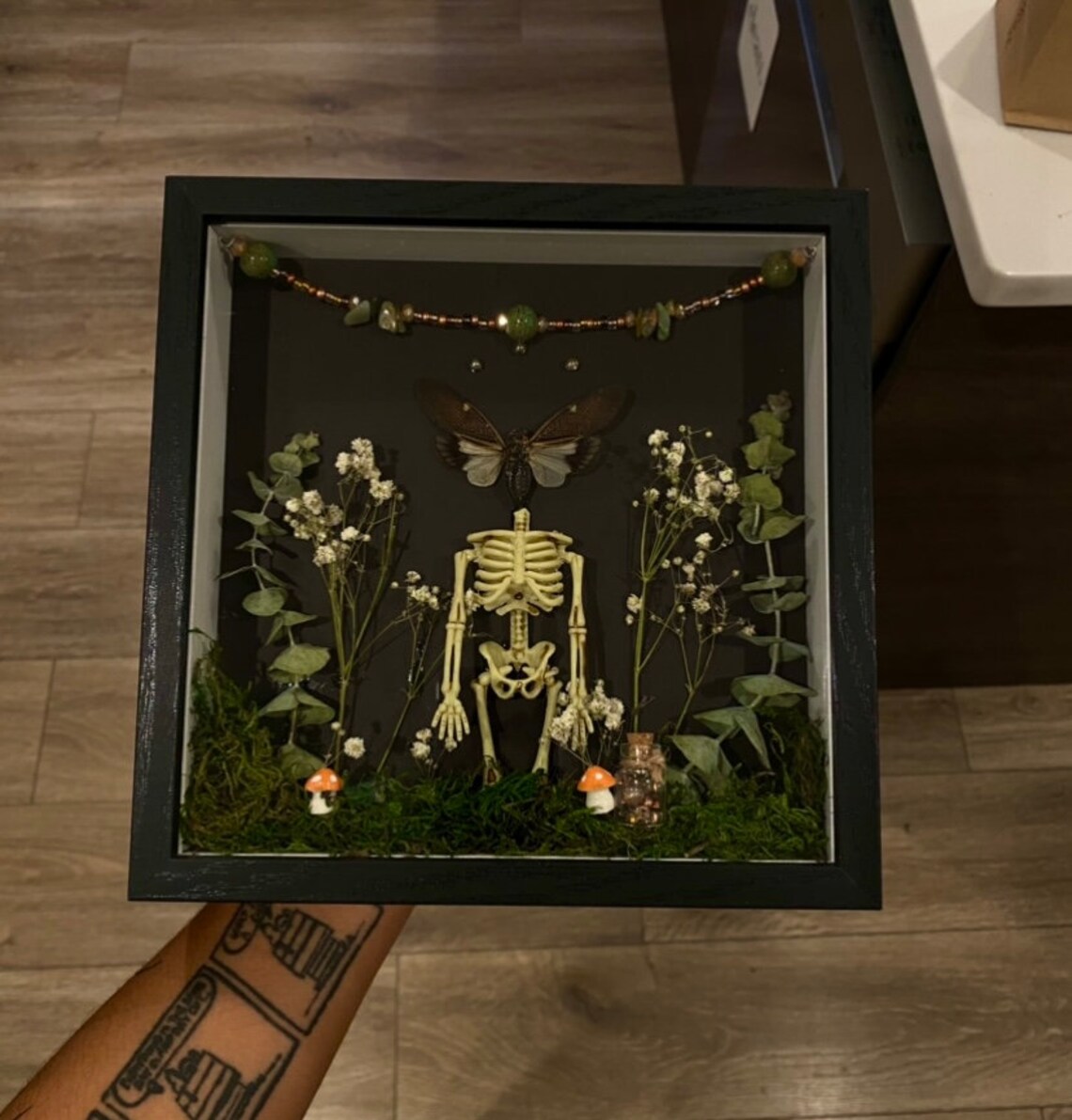 Real Insect Shadow Box - Etsy