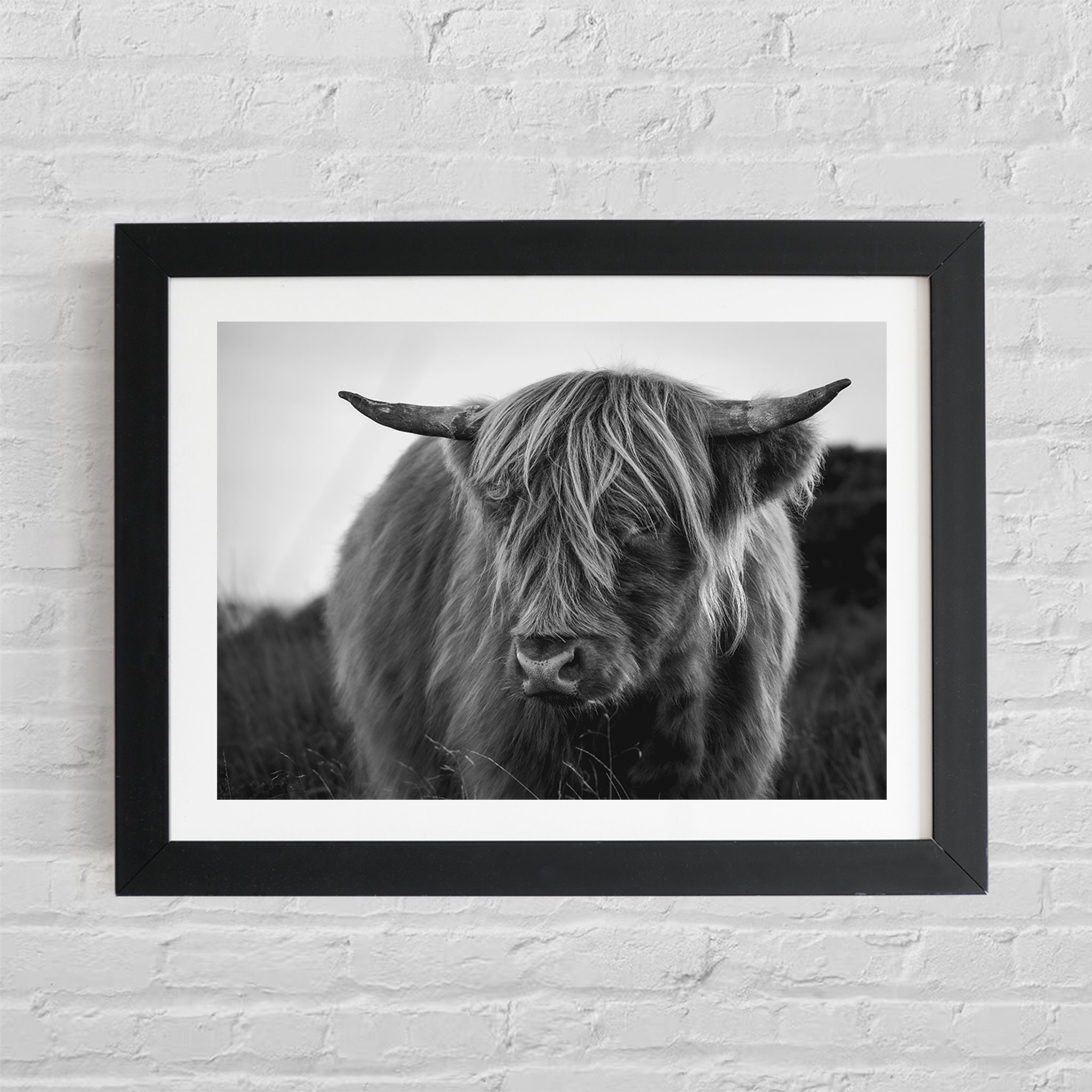 Highland Cow Printable Digital Download | 5x7 Ratio Image File | Wall ...