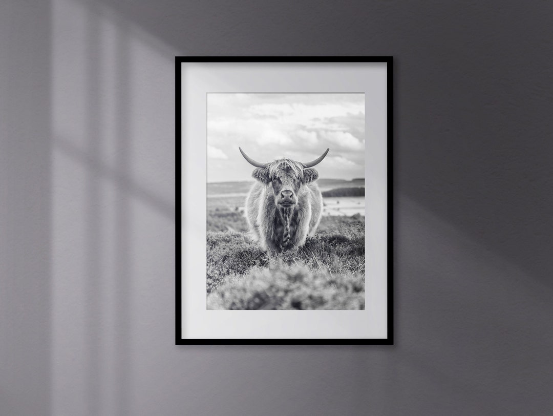 Highland Cow Printable Digital Download | Animal Print | Wall Art ...