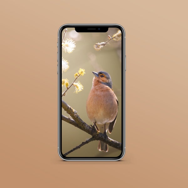 Screensaver - Etsy