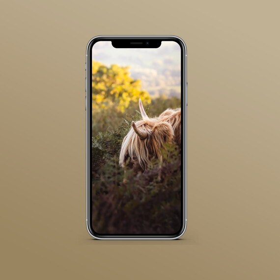 Highland Cow Phone Wallpaper Screensaver Lockscreen - Etsy