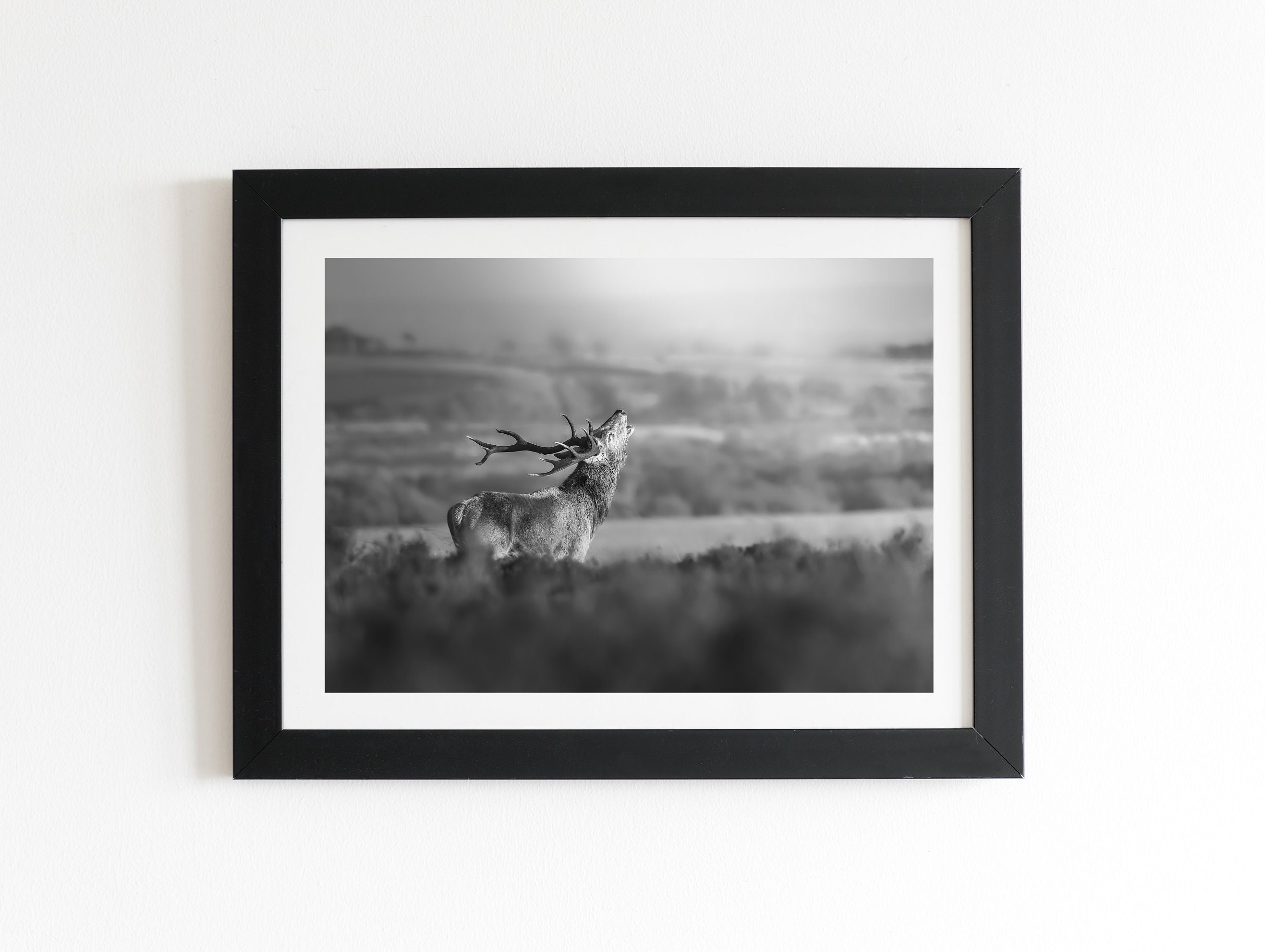 Red Deer Stag Printable Digital Download | Animal Print | Wall Art ...