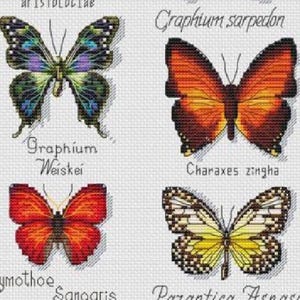 Butterfly Sampler Insect Pattern PDF Cross Stitch Embroidery Lkacross ...