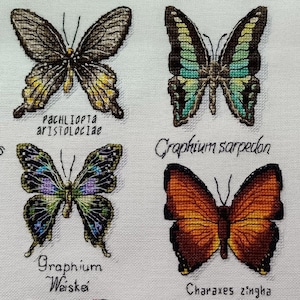Butterfly Sampler Insect Pattern PDF Cross Stitch Embroidery Lkacross ...
