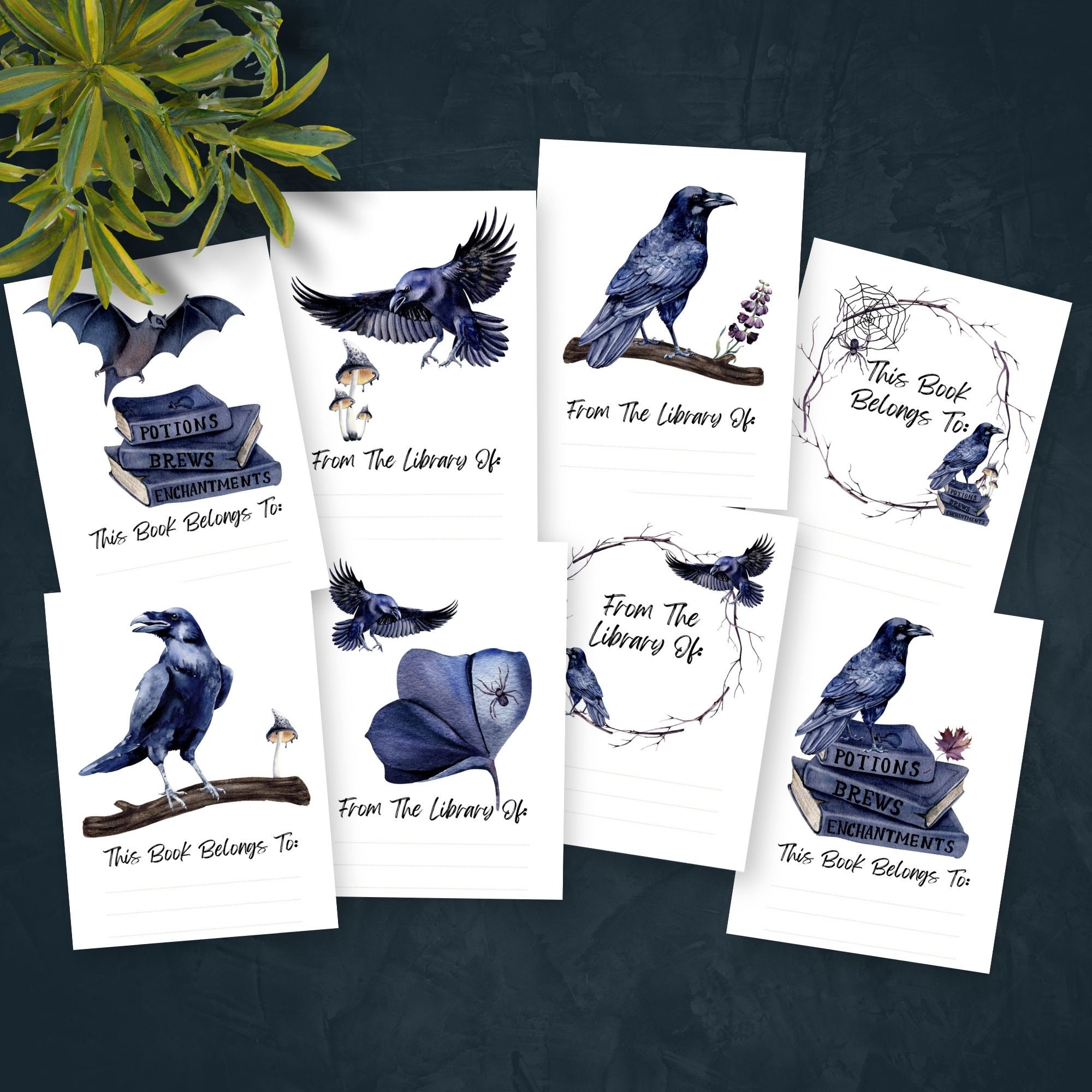 Raven Bookplates, INSTANT DOWNLOAD, Printable Bookplates, Bookplate ...
