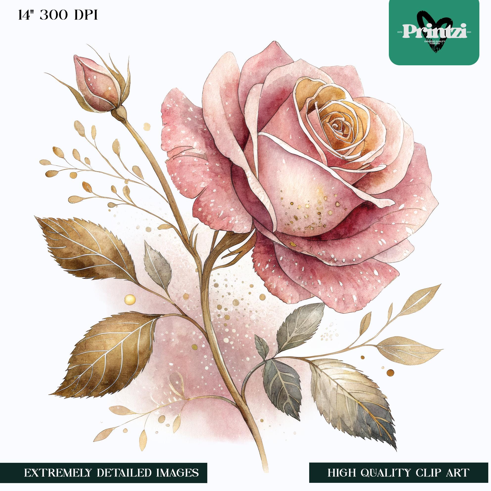 Abstract Floral Clipart: Pink & Gold Watercolor Flowers (digital ...