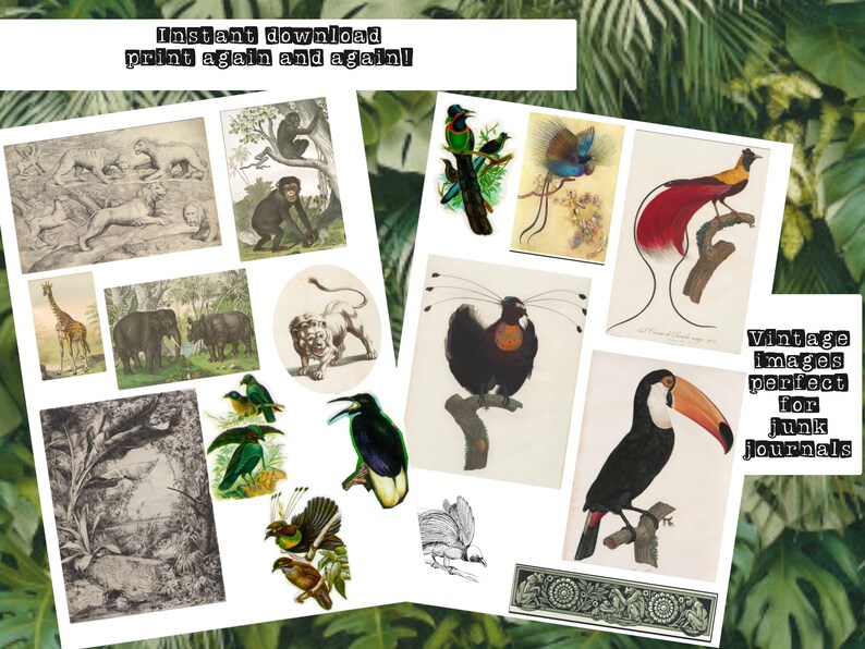 Vintage Jungle/ Tropical Themed Collage Kit, Digital Collage Kit - Etsy