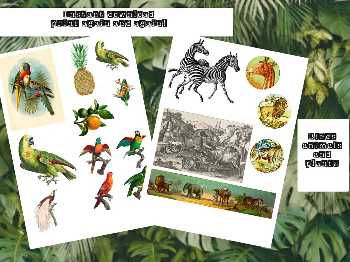 Vintage Jungle/ Tropical Themed Collage Kit, Digital Collage Kit - Etsy