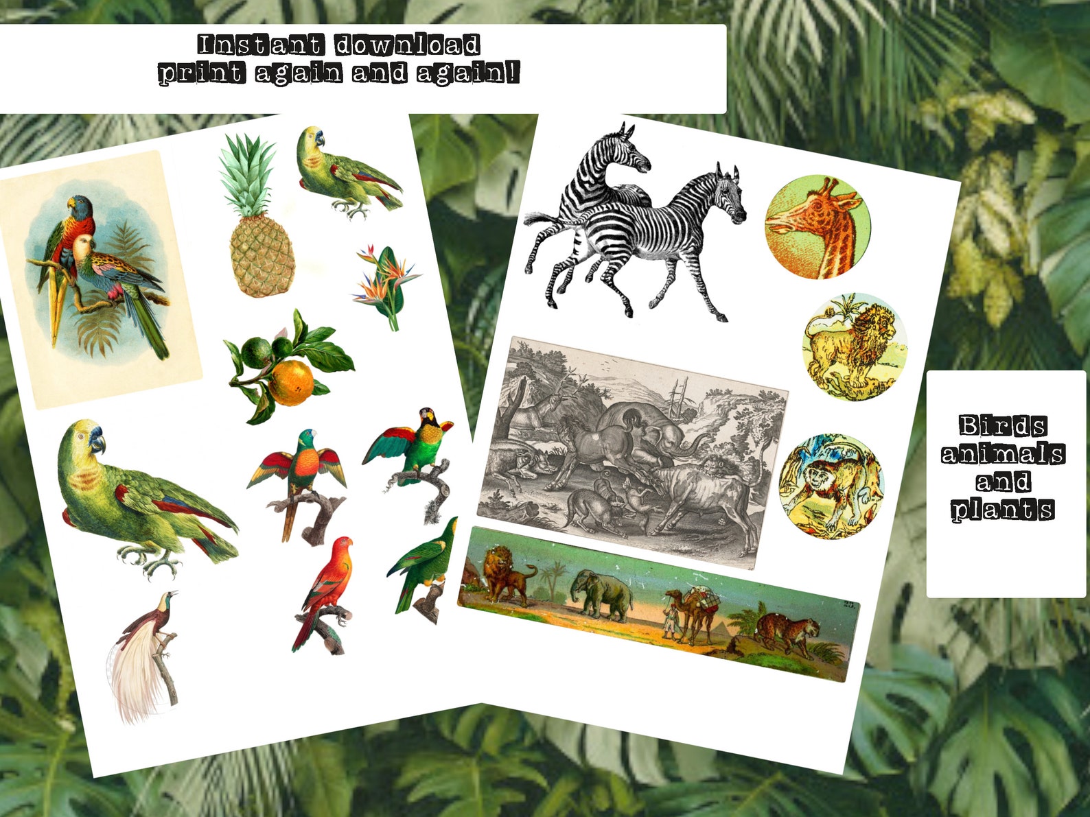 Vintage Jungle/ Tropical Themed Collage Kit, Digital Collage Kit - Etsy