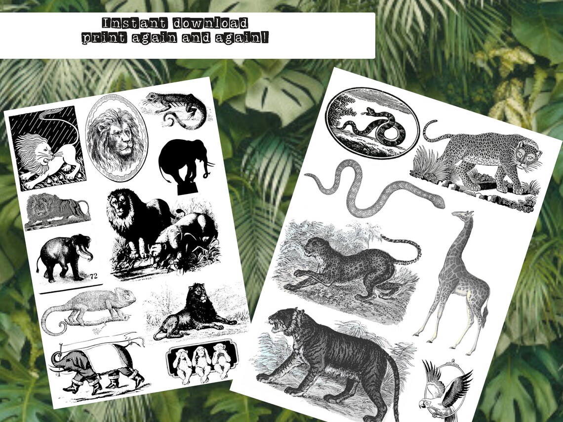Vintage Jungle/ Tropical Themed Collage Kit, Digital Collage Kit - Etsy