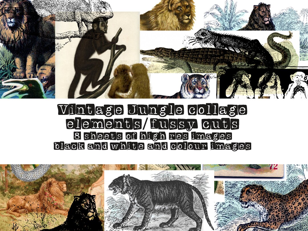 Vintage Jungle/ Tropical Themed Collage Kit, Digital Collage Kit - Etsy