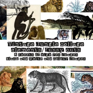 Vintage Jungle/ Tropical Themed Collage Kit, Digital Collage Kit - Etsy