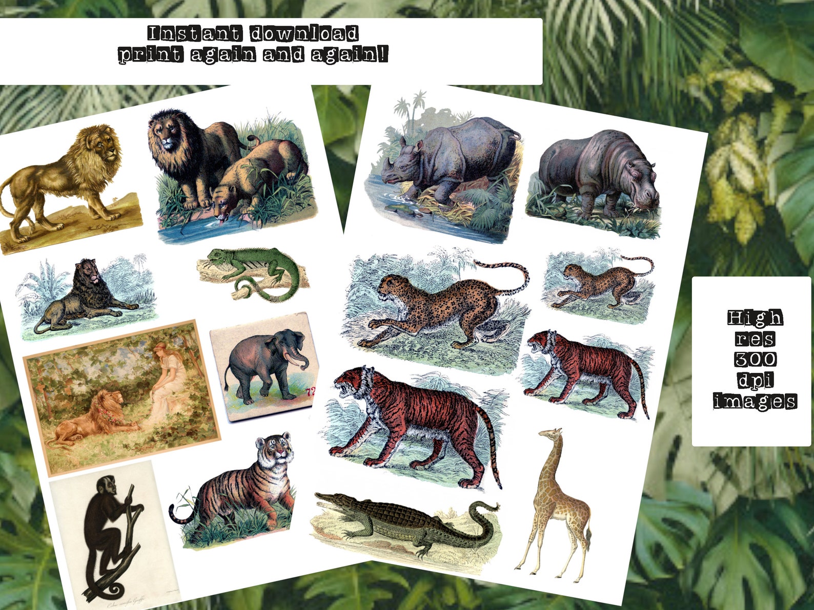 Vintage Jungle/ Tropical Themed Collage Kit, Digital Collage Kit - Etsy
