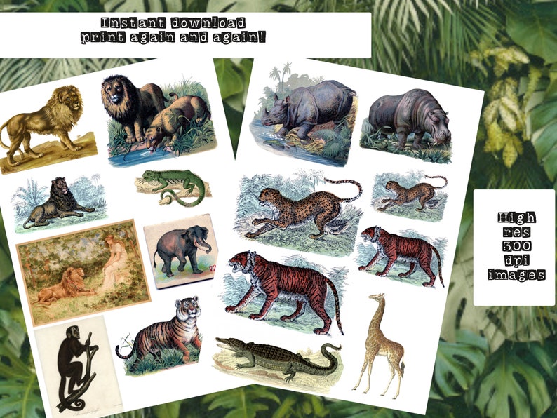 Vintage Jungle/ Tropical Themed Collage Kit, Digital Collage Kit - Etsy