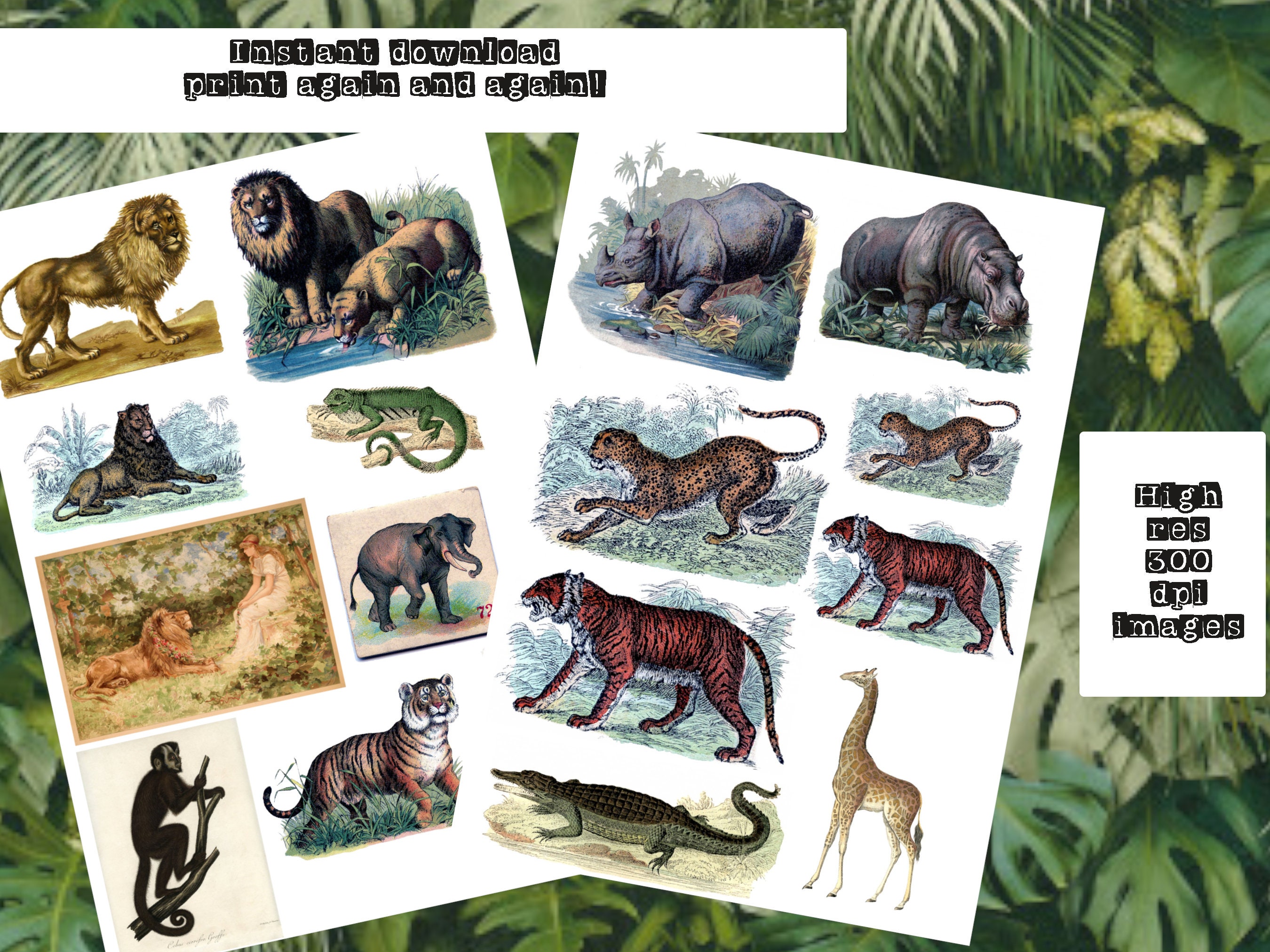 Vintage Jungle/ Tropical Themed Collage Kit, Digital Collage Kit - Etsy