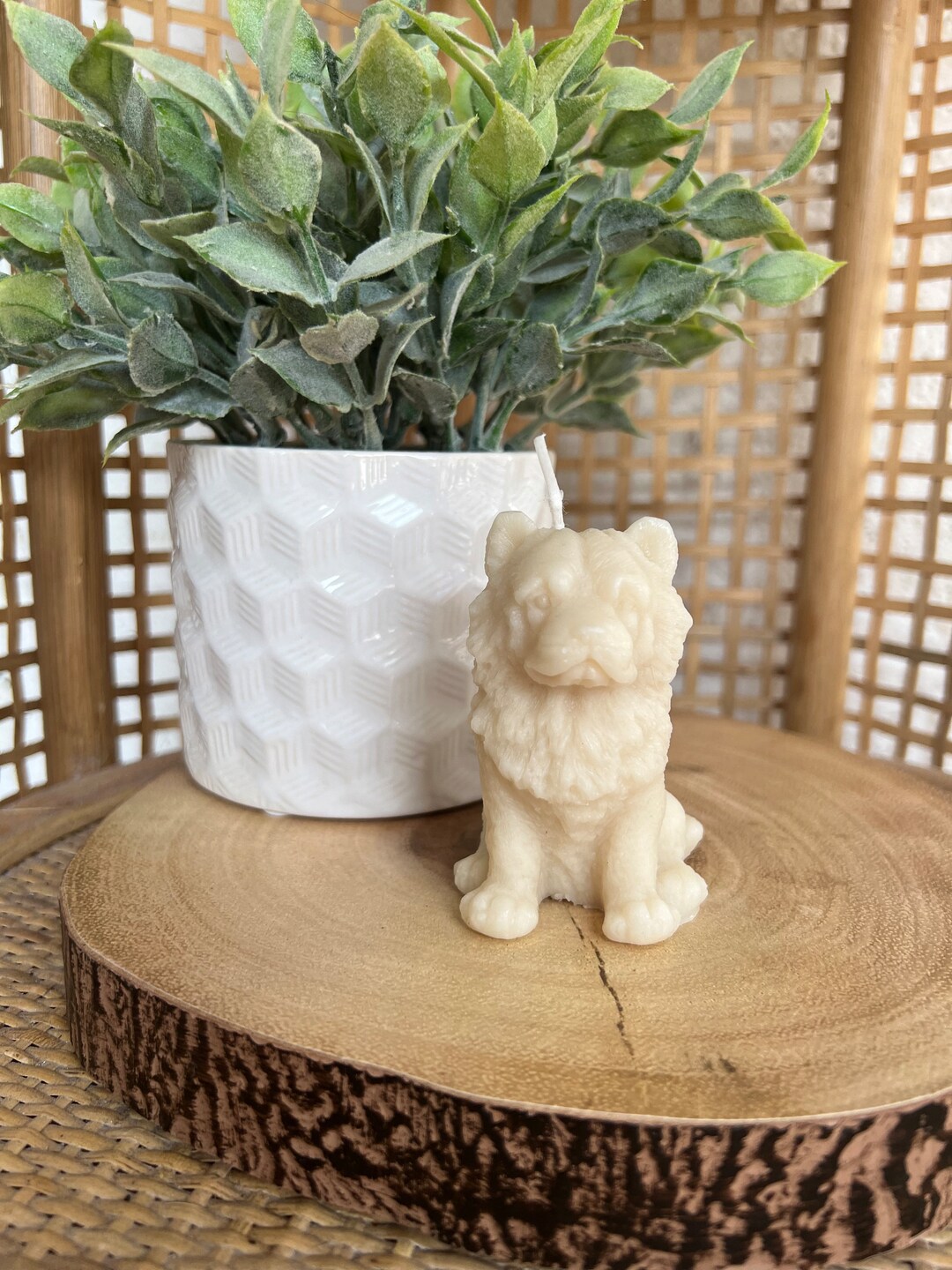 Chow Chow Candle - Etsy