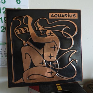 AQUARIUS Zodiac Sign Copper Kitchen Backsplash, Astrology and Horoscope ...