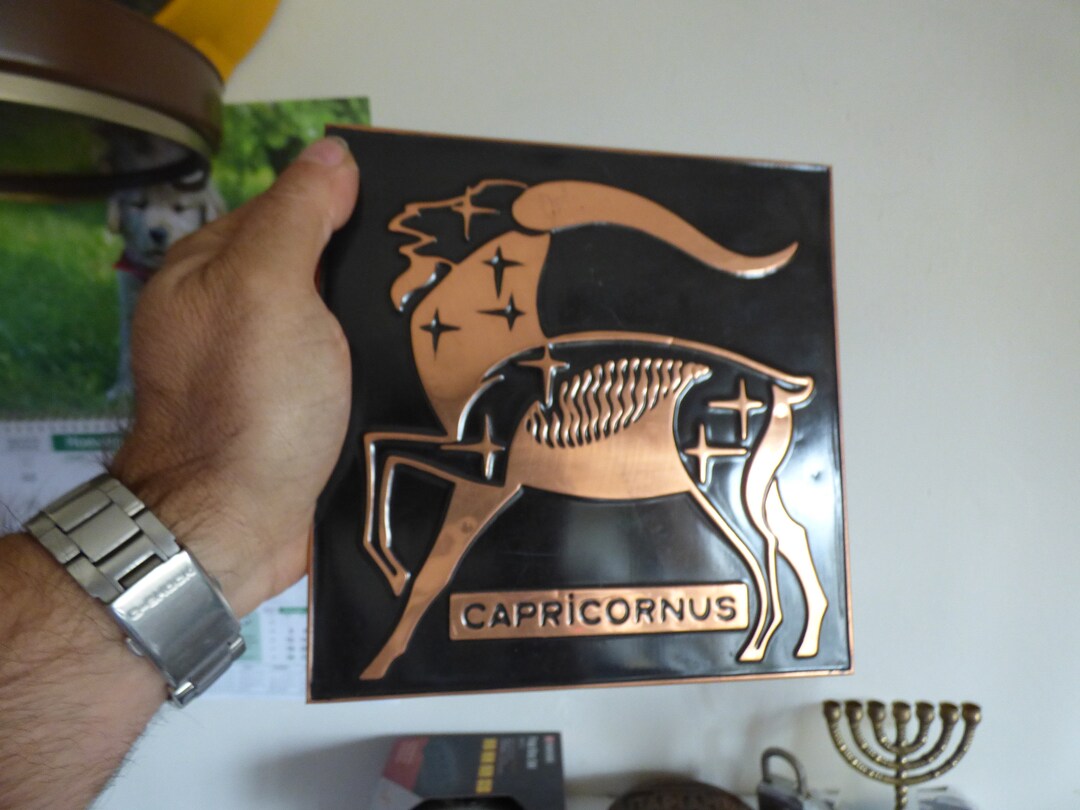 CAPRICORNUS Zodiac Sign Copper Kitchen Backsplash, Astrology and ...