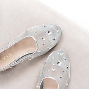 Silver Mesh Flats With Rhinestone Embroidery and Almond Toe, Fishnet ...