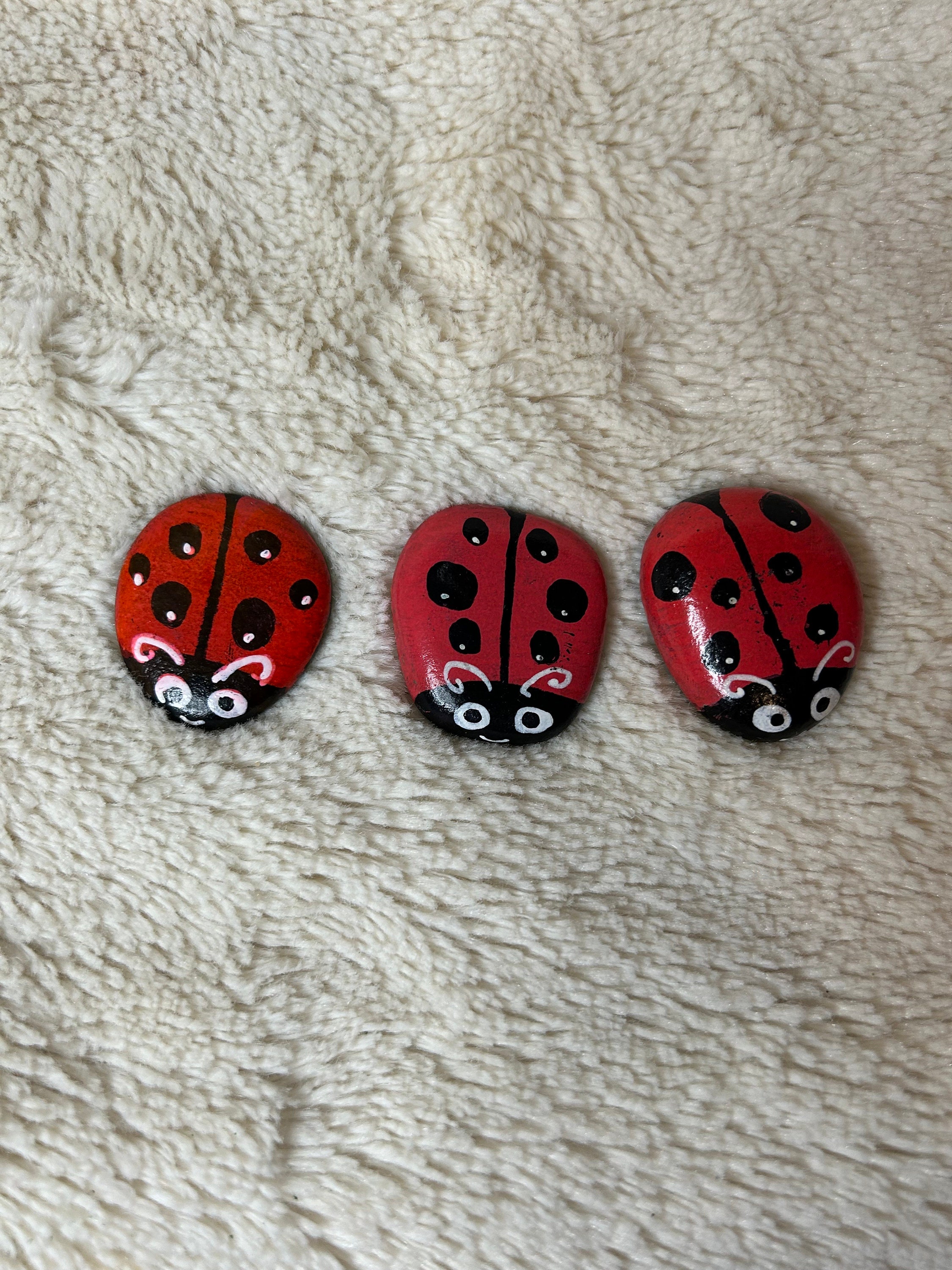 Ladybug Hand Painted Rocks Set of Three - Etsy