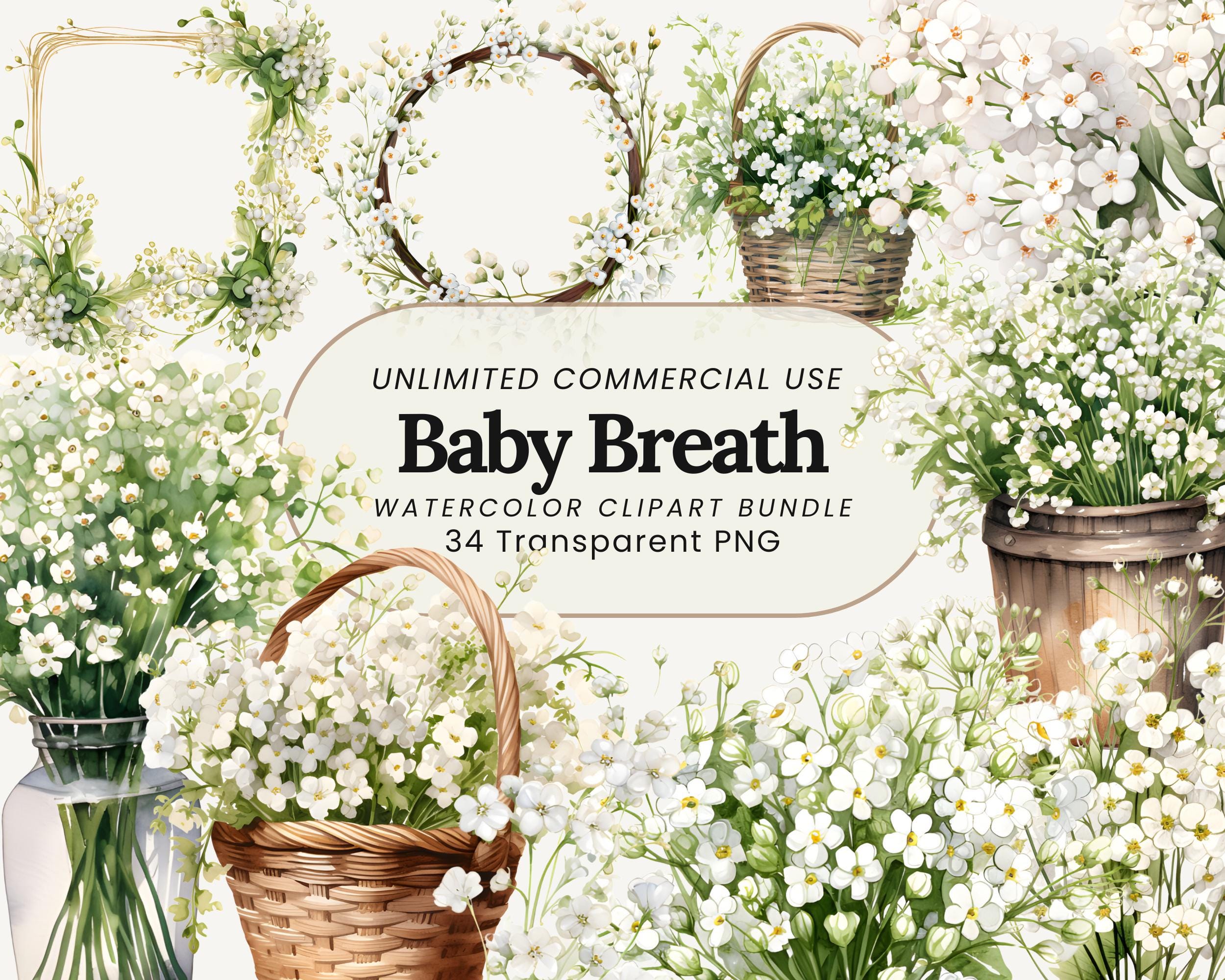 Watercolor Baby's Breath Clipart: Floral PNG Bundle (digital Download ...
