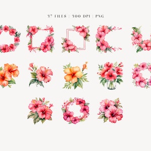 Hibiscus Watercolor Clipart Bundle | Tropical Flower, Exotic Flower ...