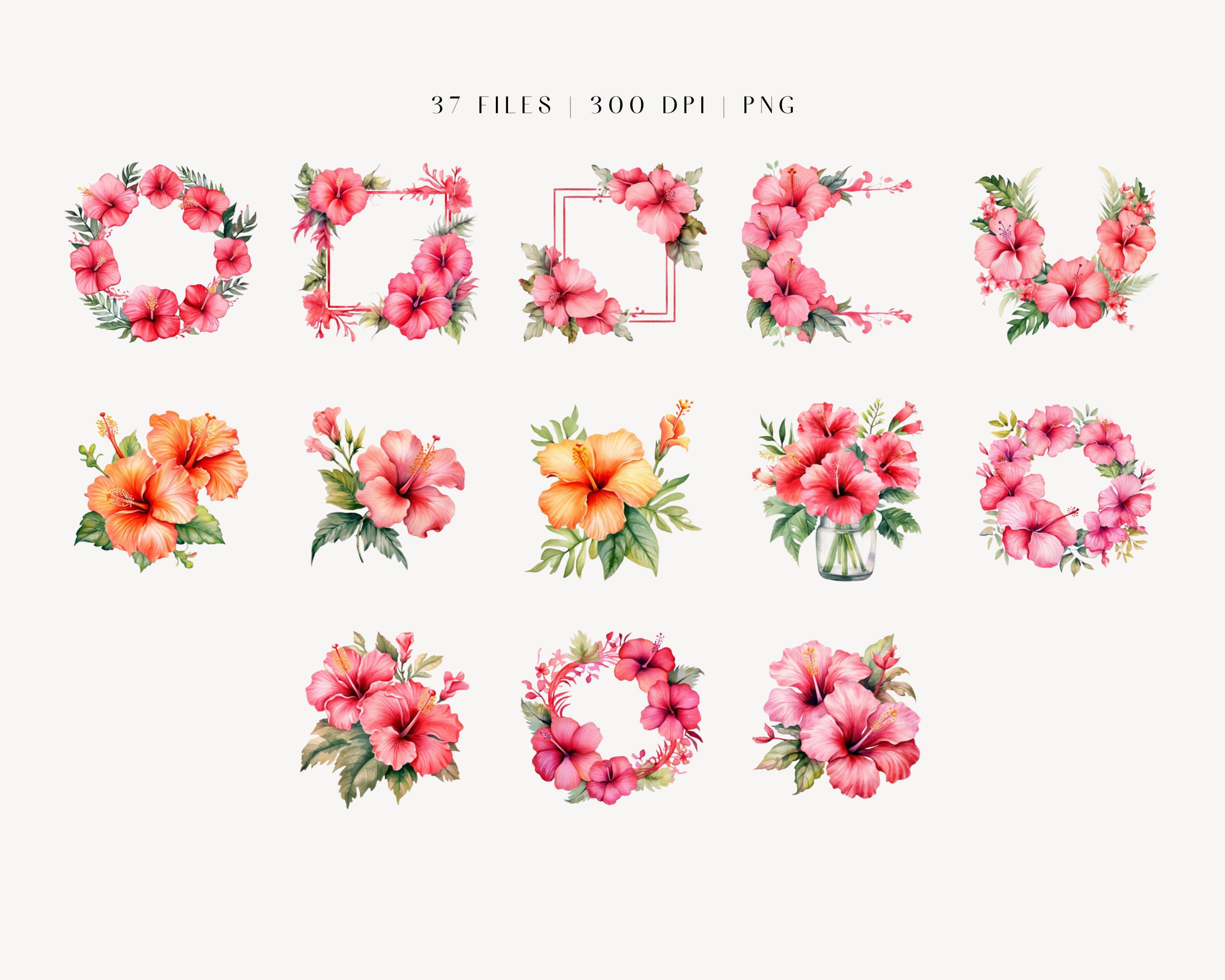 Hibiscus Watercolor Clipart Bundle | Tropical Flower, Exotic Flower ...