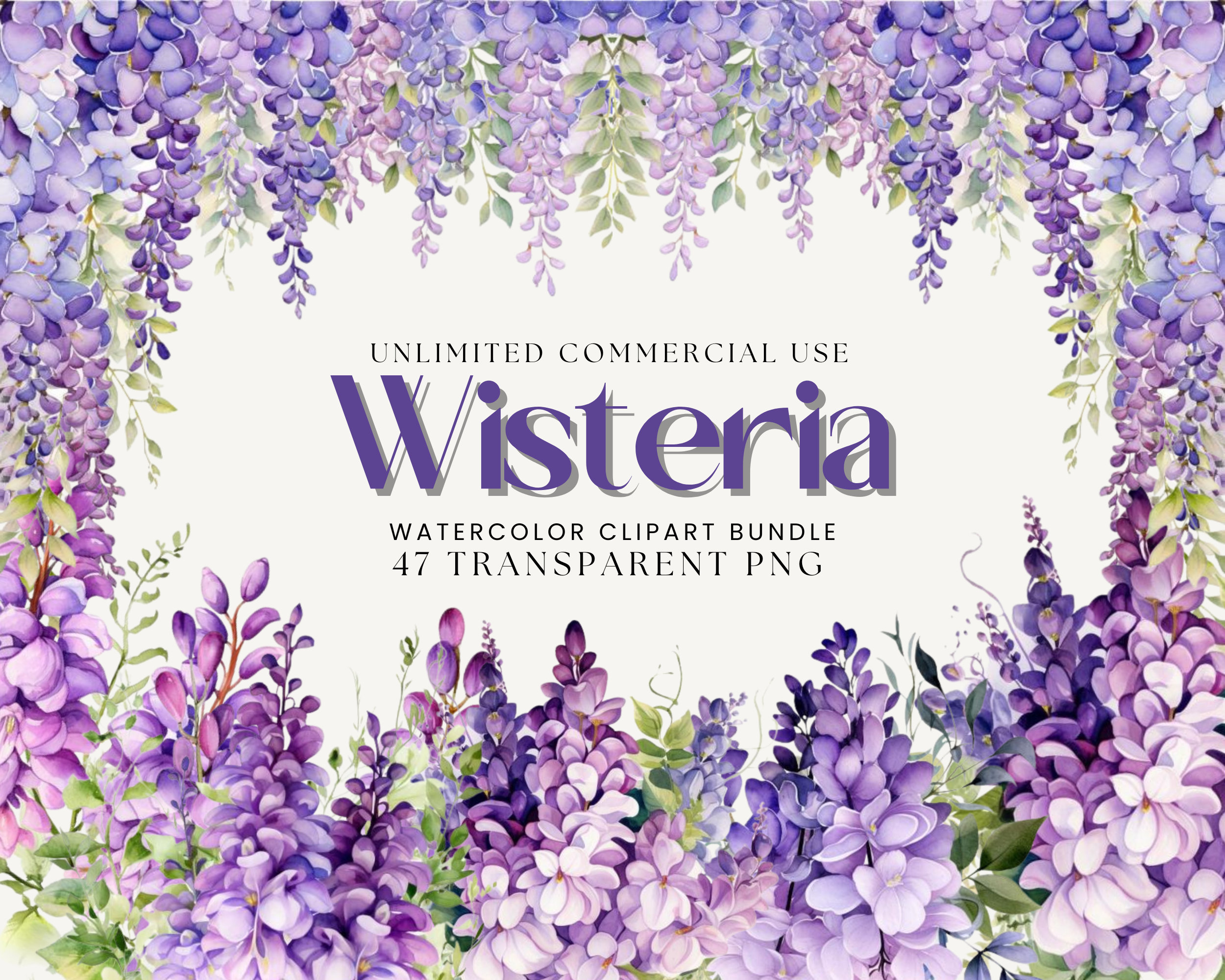 Watercolor Wisteria Clipart Bundle | Purple Flowers, Wisteria Frame ...