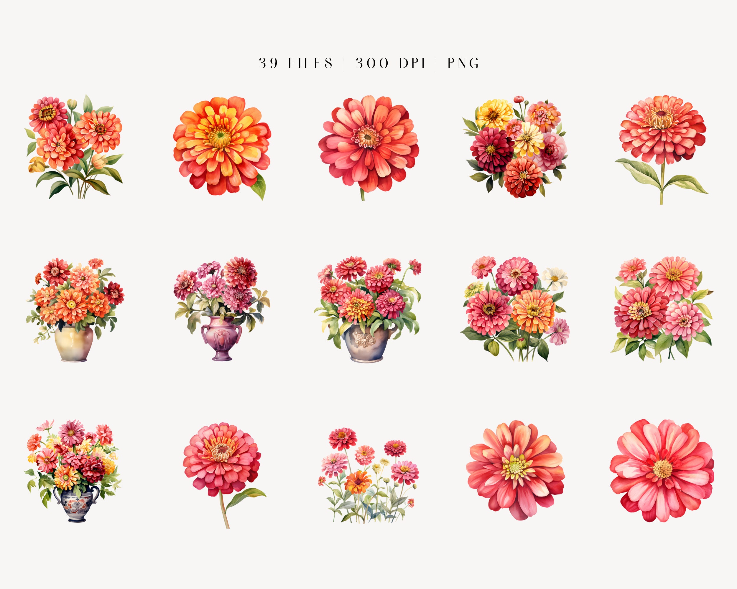 Zinnia Watercolor Clipart Bundle: Spring Floral Designs (PNG) - Etsy