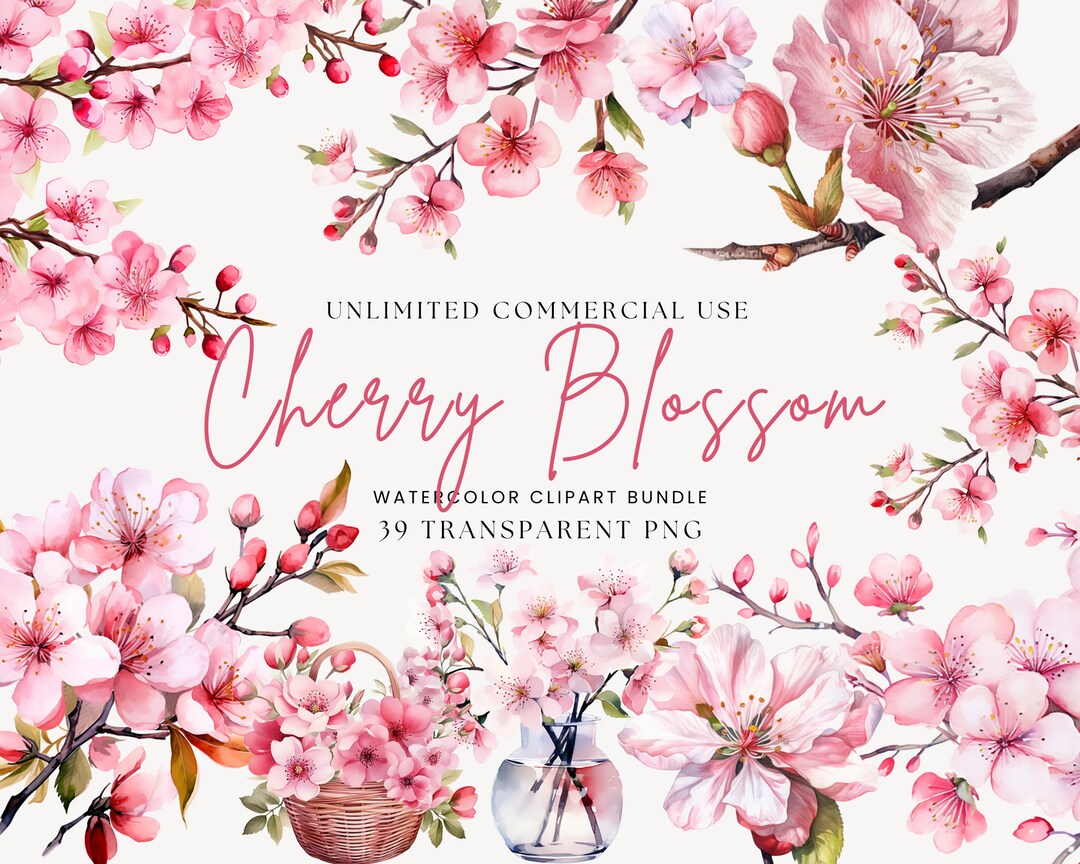 Cherry Blossom Clipart Bundle Sakura PNG Spring Flowers PNG Cherry ...